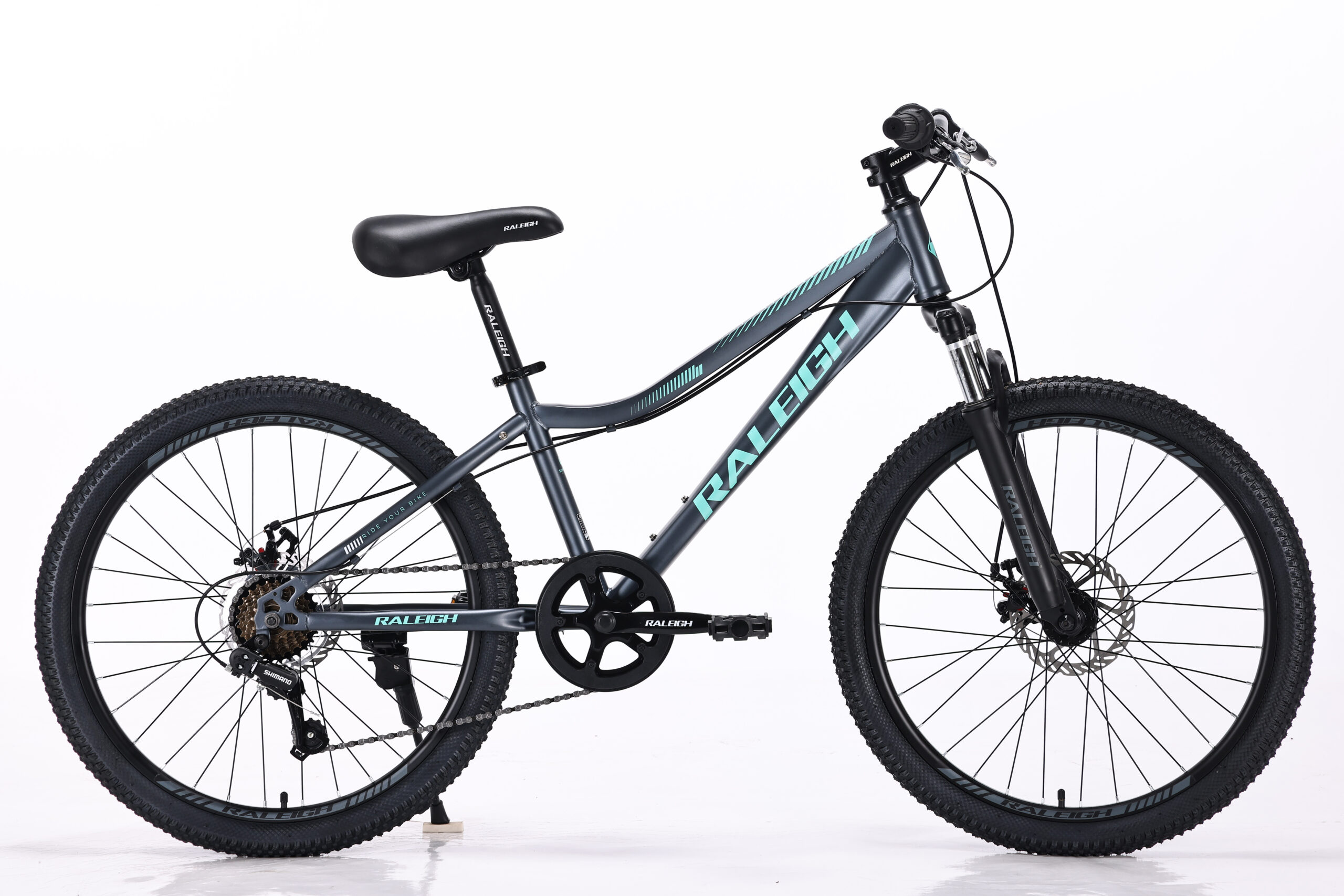RALEIGH 24 MTB DISC GIRL VERDE - Bicicentro